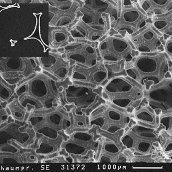 Cellular Material Nickel Foam Ni Metal Foam Ni Foam Pore Size Can Be ... Cellular Material Nickel Foam Ni Metal Foam Ni Foam Pore Size Can Be ...